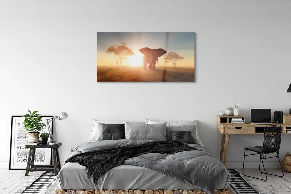 akrylový obraz Sloní strom na východ 125x50 cm