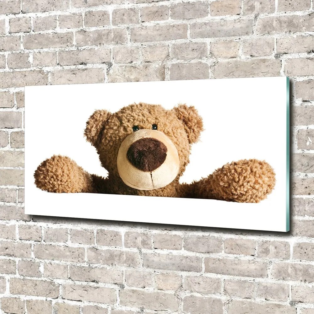 Wallmuralia Fotoobraz skleněný na stěnu do obýváku Plyšový medvídek 140x70 cm