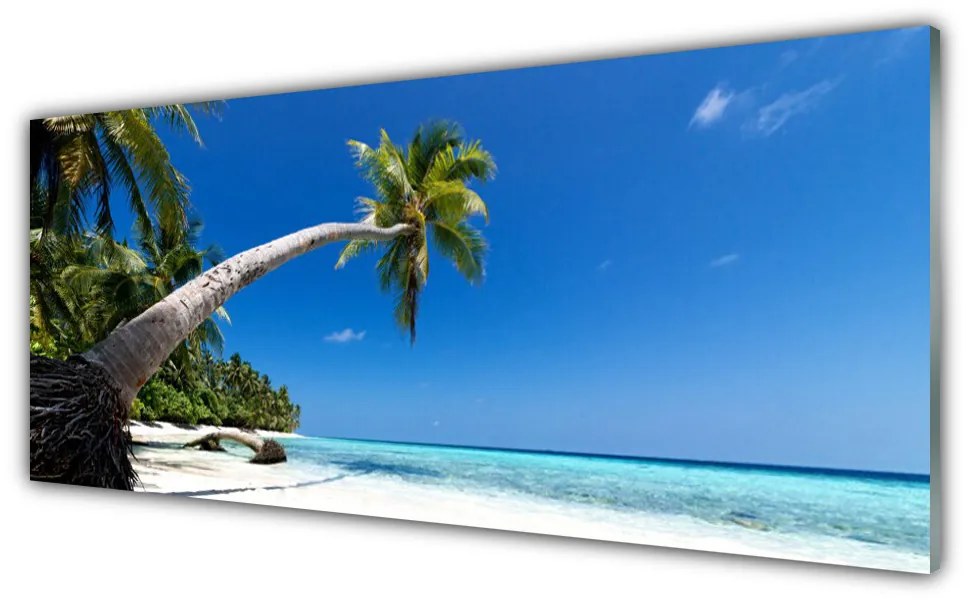 Plexisklo-obraz Pláž Palma Moře Krajina 125x50 cm