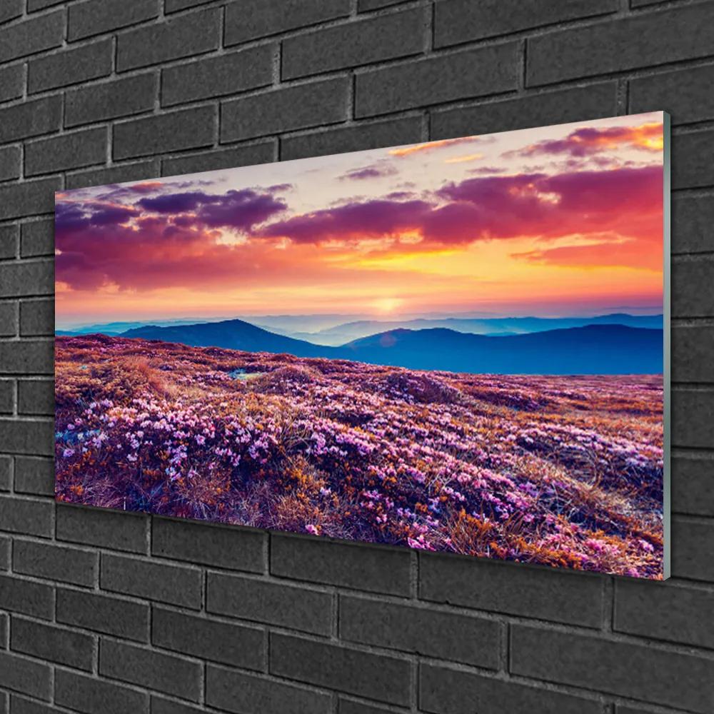 Obraz na skle Louka Hory Květiny Příroda 120x60 cm