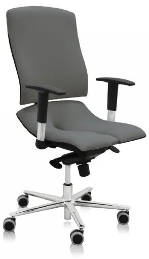 Zdravotní židle Steel Standard+ / šedá