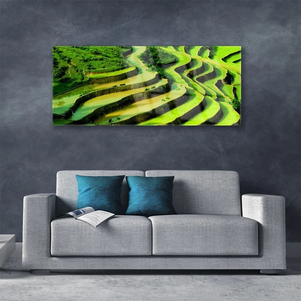 akrylový obraz Pole Rýže Les Umění 125x50 cm
