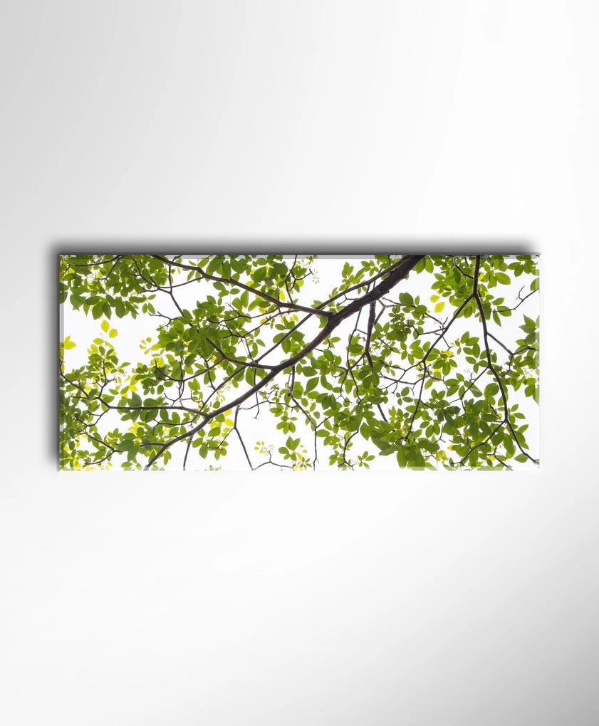 Malvis ® Obraz větev stromu ROZMĚR (šířka x výška): pětidílné schody obdélník 150x75 cm