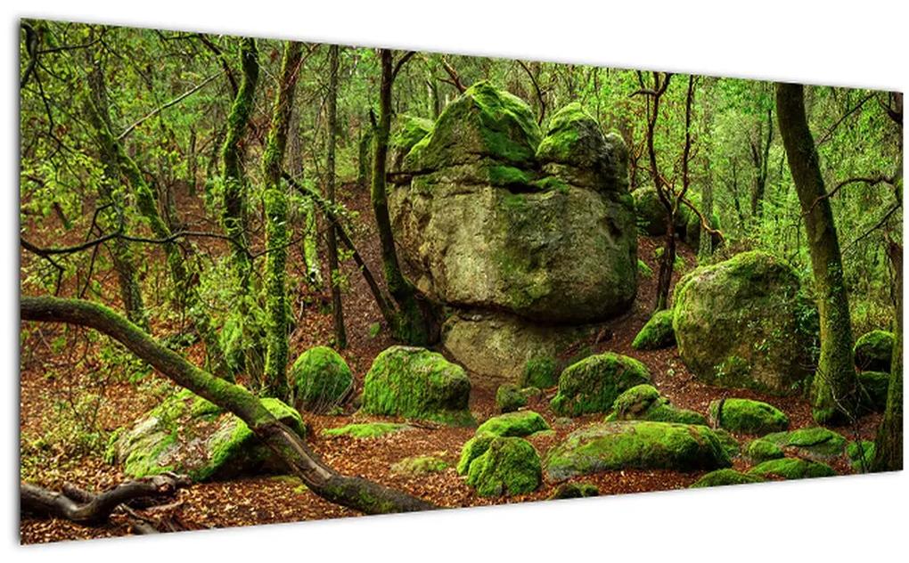 Obraz kouzelného lesa (100x40 cm), 40 dalších rozměrů