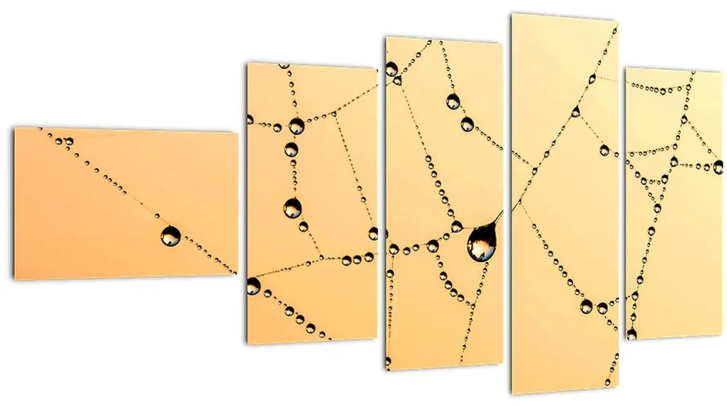 Obraz orosené pavučiny (110x60 cm), 40 dalších rozměrů