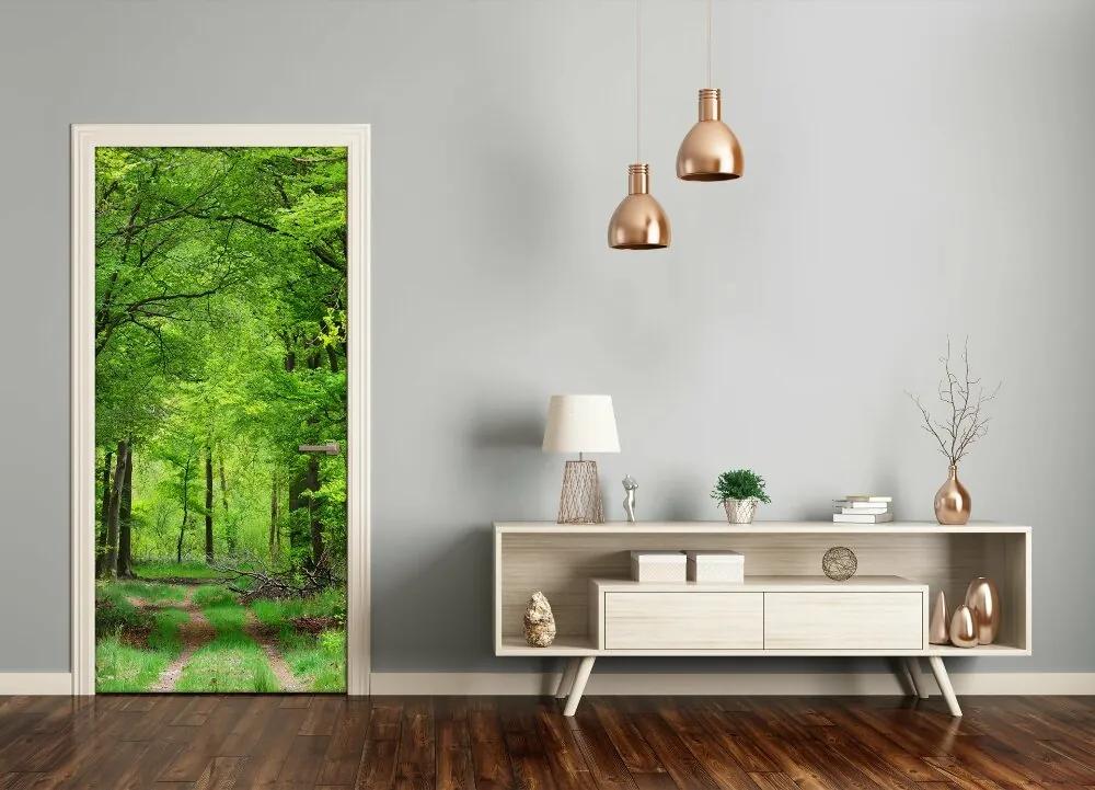 Fototapeta na dveře samolepící zelený les 95x205 cm