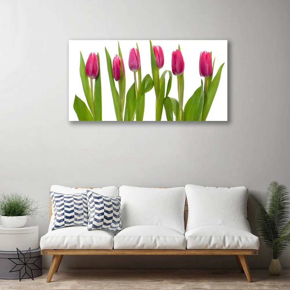 Obraz na plátně Tulipány Květiny Rostlina 100x50 cm