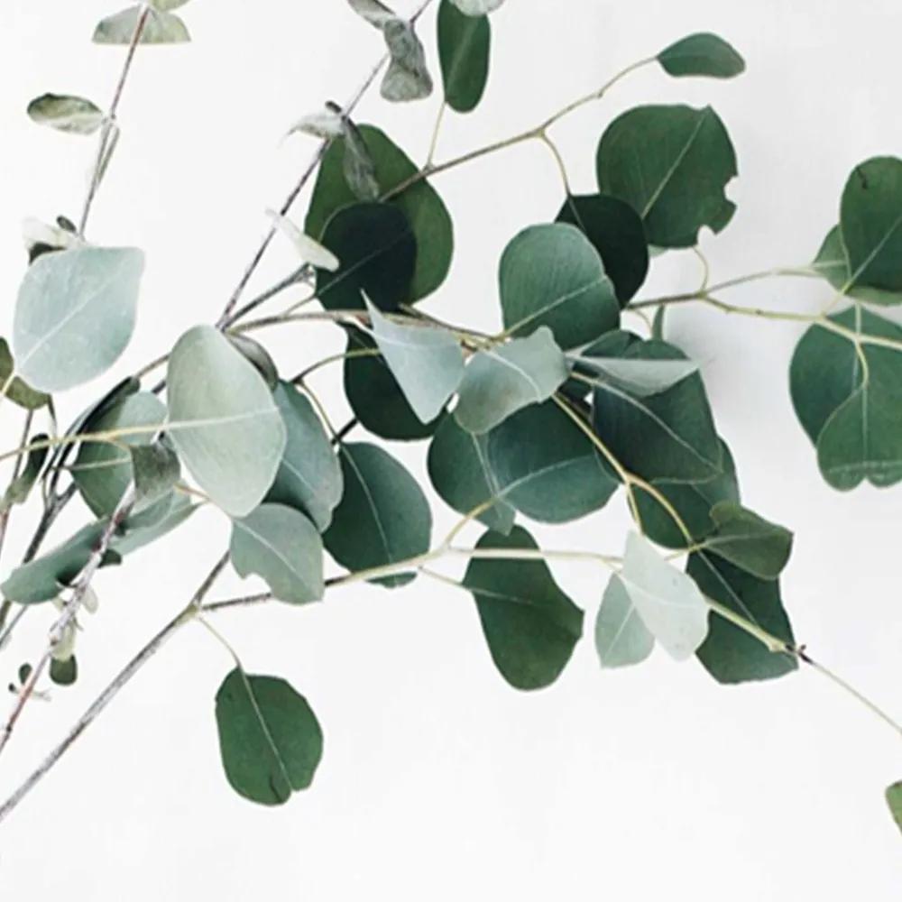 Ozdobný paraván Listy Příroda zelená - 180x170 cm, pětidílný, obustranný paraván 360°