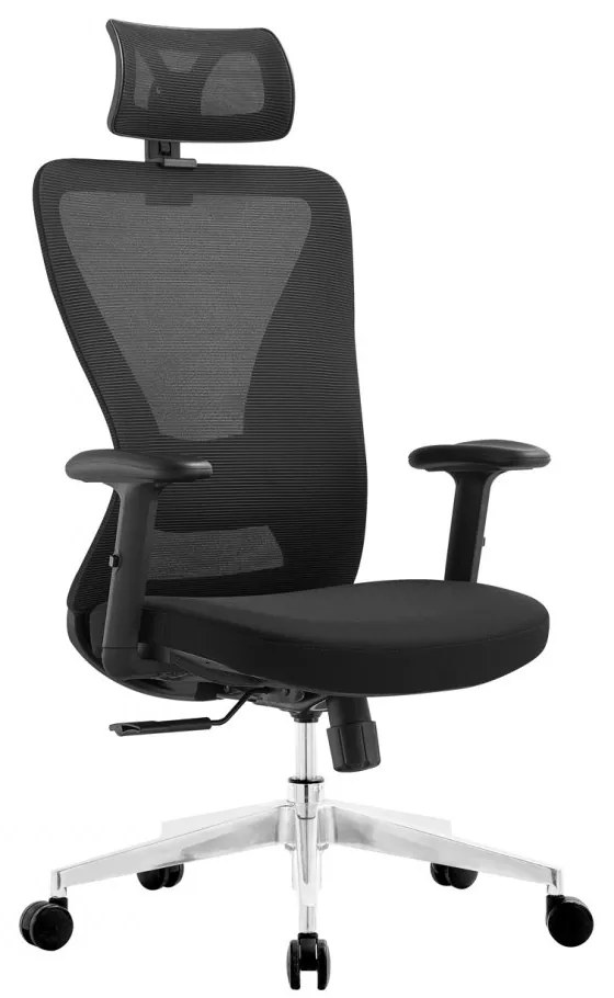 Ergonomická kancelářská židle ERGODO CORVIA - černá síťovina / nosnost 150 kg