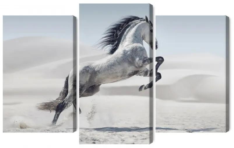 Vícedílný obraz Kůň V Poušti 3D Nedostatek Nedostatek Přírodní plátno 180x120