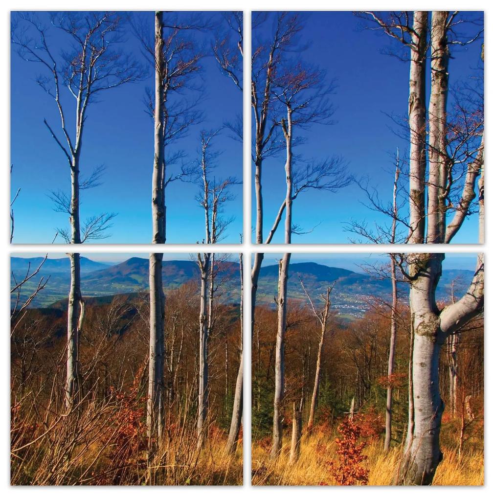 Malvis ® Obraz Cestou z Lysé hory Velikost (šířka x výška): čtyřdílný vertikální - 35x140 cm