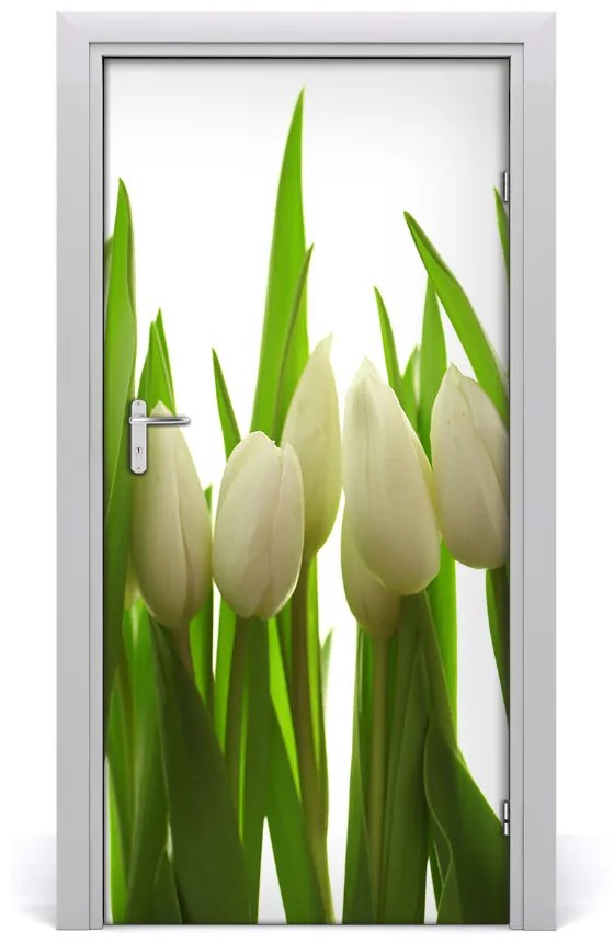 Fototapeta na dveře Bílé tulipány 85x205 cm