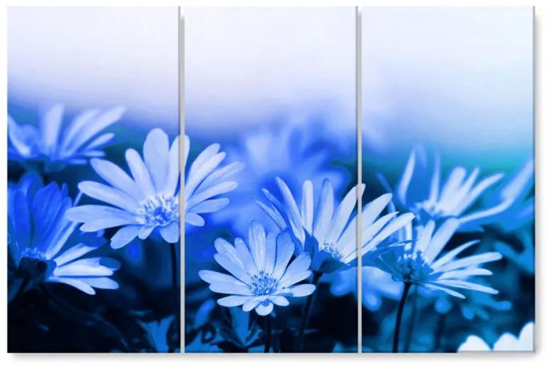 Obraz modré květy Velikost (šířka x výška): 150x100 cm