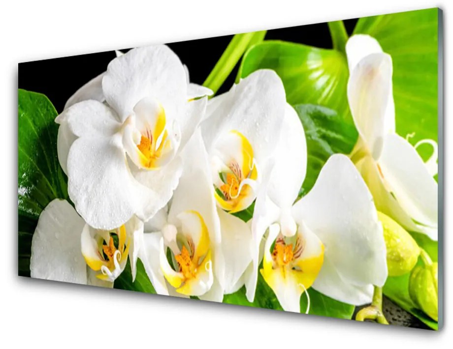 Obraz na skle Orchidej Květiny Příroda 120x60 cm