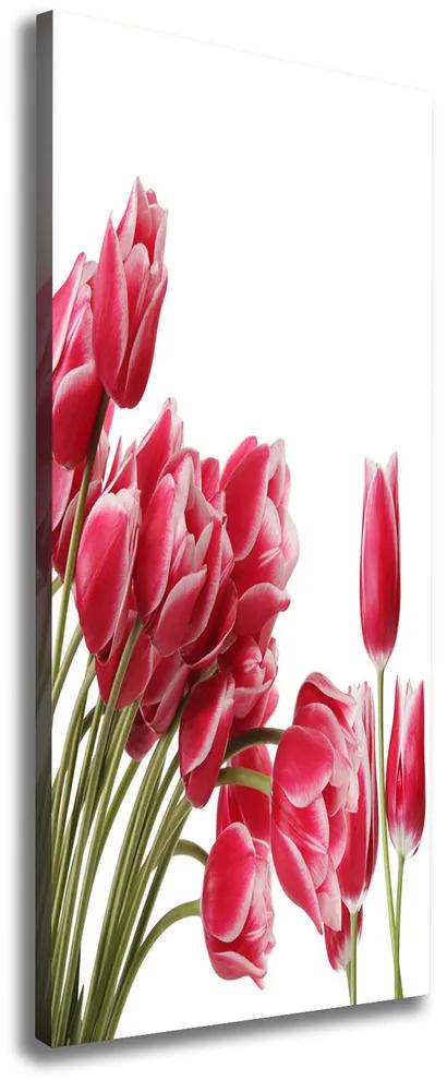 Wallmuralia Foto obraz na plátně Červené tulipány 50x125 cm