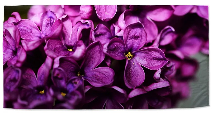 Ručník SABLIO - Fialové květy 50x100 cm