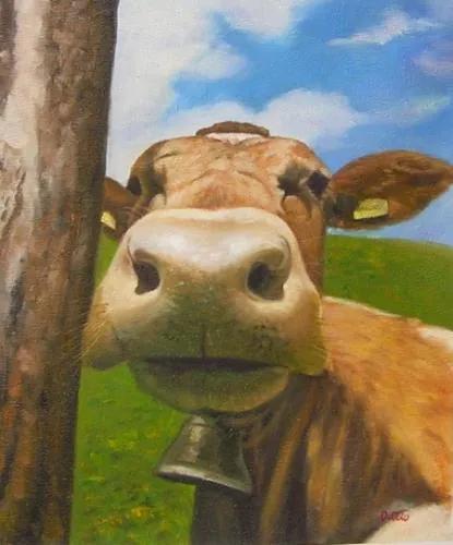 Hlava Krávy - 60 x 50 cm
