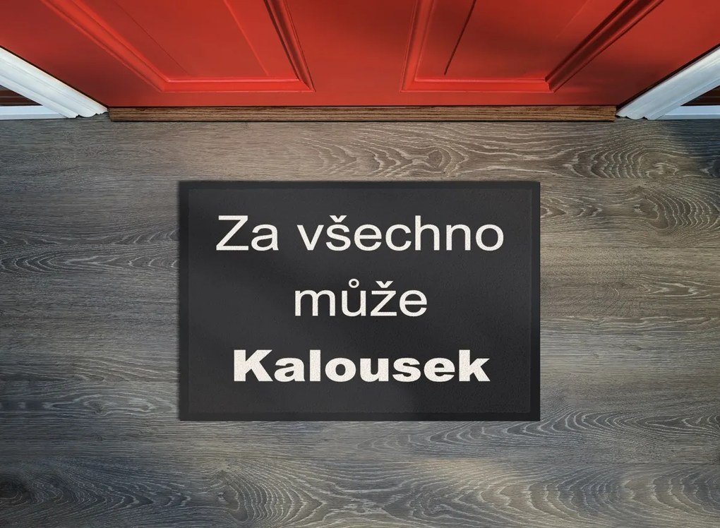 GDmats, Rohožka Kalousek 40x60 cm - na ven i na doma, 40x60, černá