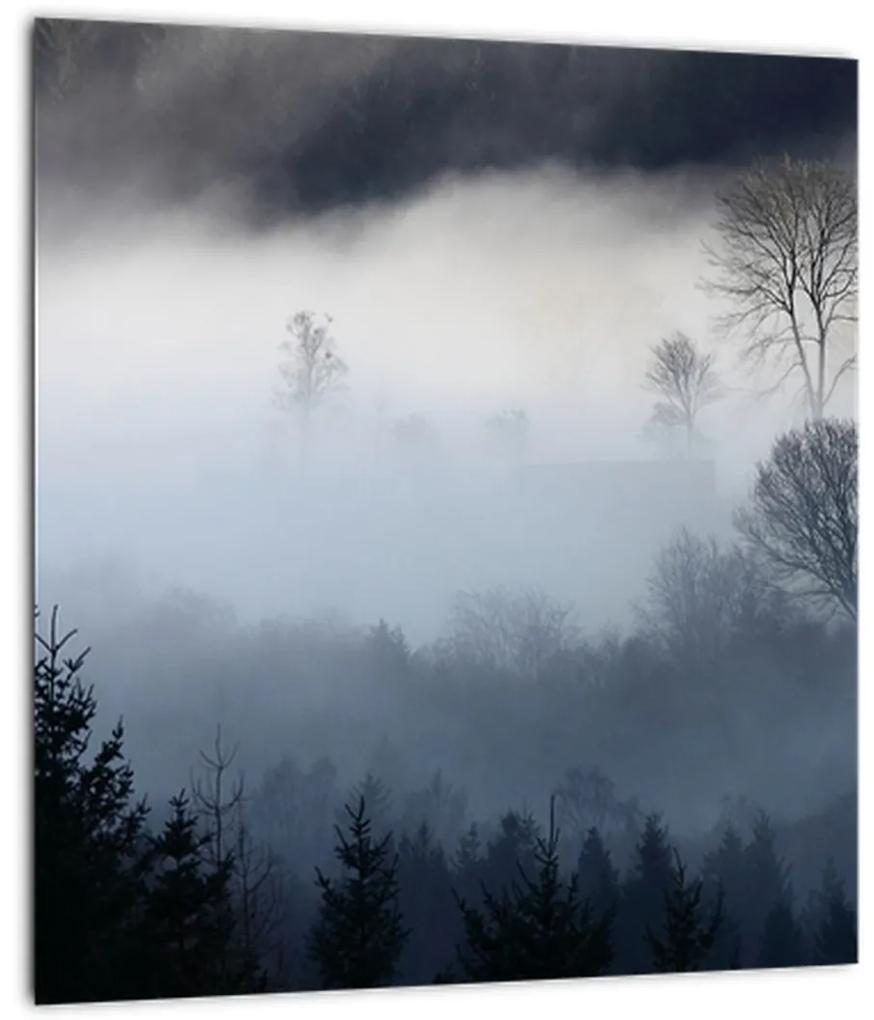 Obraz mlhy nad lesem (30x30 cm)