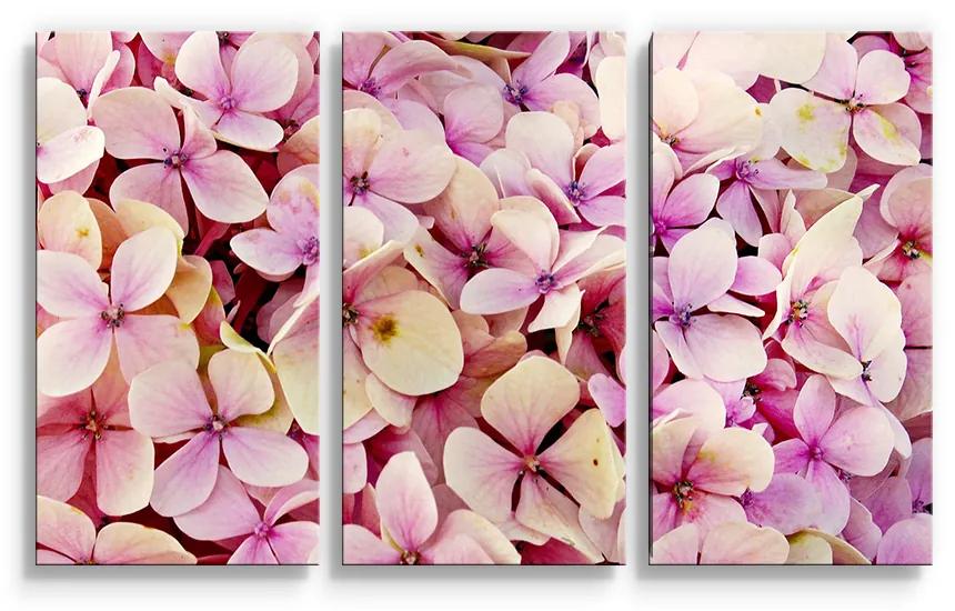 Sablio Obraz - 3-dílný Růžové květy - 120x80 cm