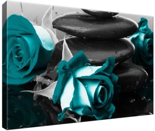 Tištěný obraz Turquoise růže and spa 30x20cm 2553A_1T