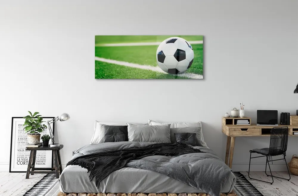 akrylový obraz fotbalový trávník 120x60 cm