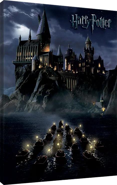 Obraz na plátně Harry Potter - Hogwarts School, (60 x 80 cm)