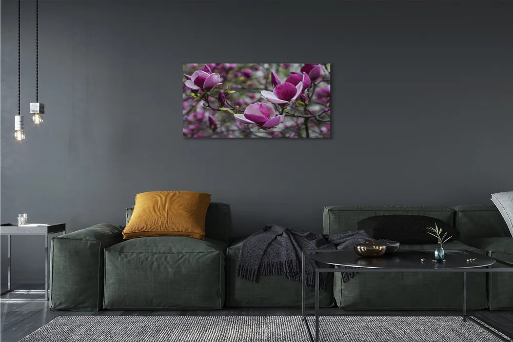 Obrazy na plátně fialové magnolie 100x50 cm