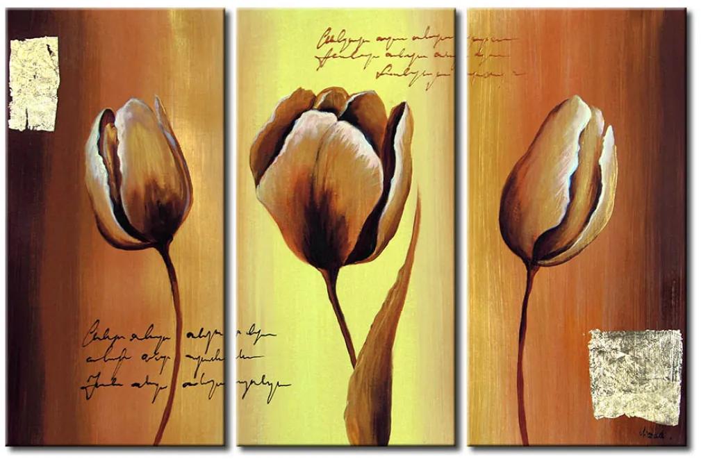 Obraz Elegantní tulipány