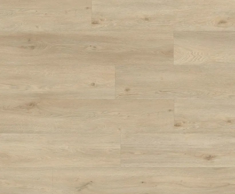 IVC Vinyl MODULEO ROOTS 55 EIR Galtymore Oak 86237