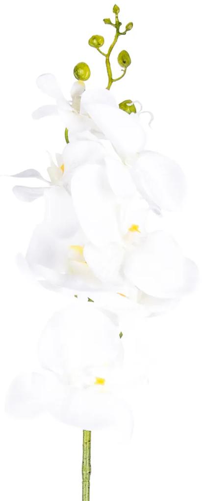 Umělá Orchidej čistě bílá, 86 cm
