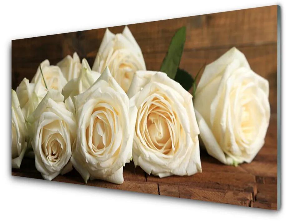 Plexisklo-obraz Růže Květiny Rostlina 125x50 cm