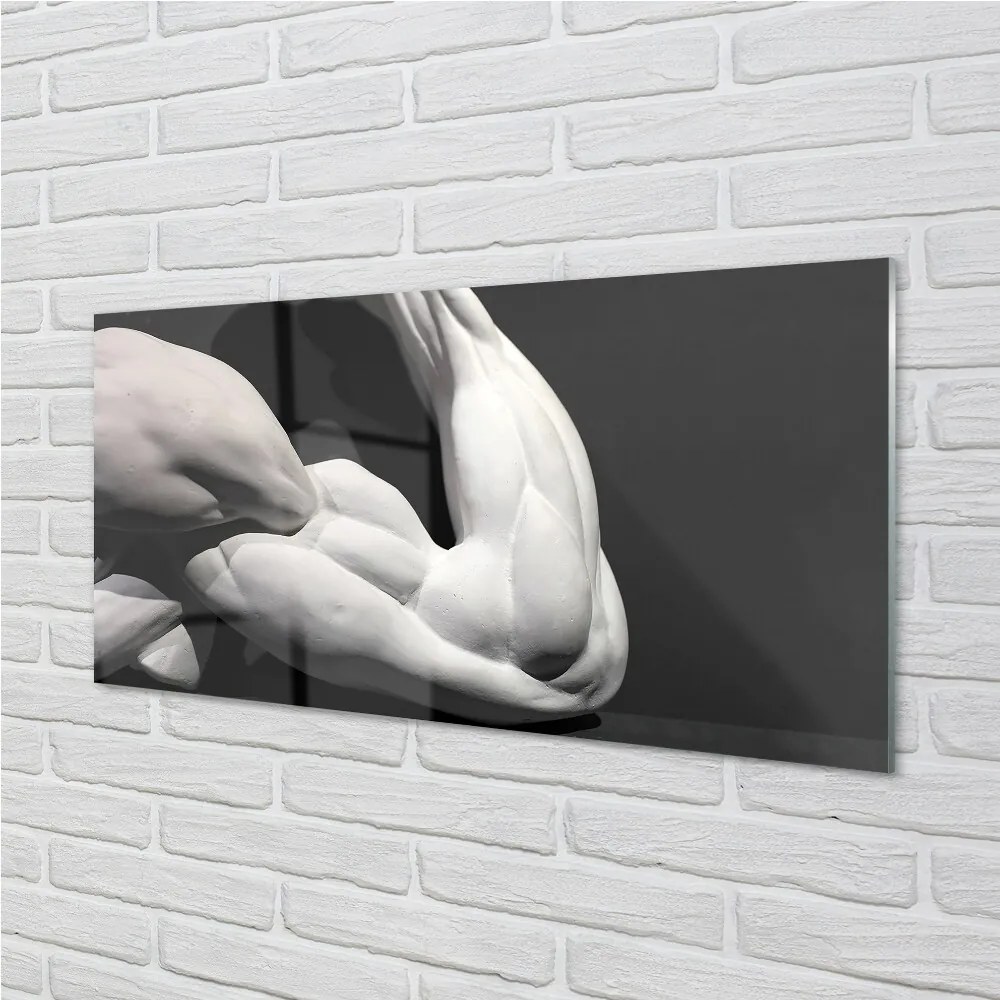 Obraz na skle Sval black and white 120x60 cm