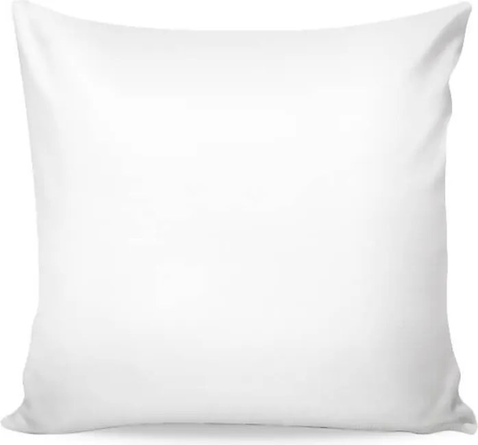 SKANTEX Polštář SKANTEX® rozměr: 50 x 50 cm