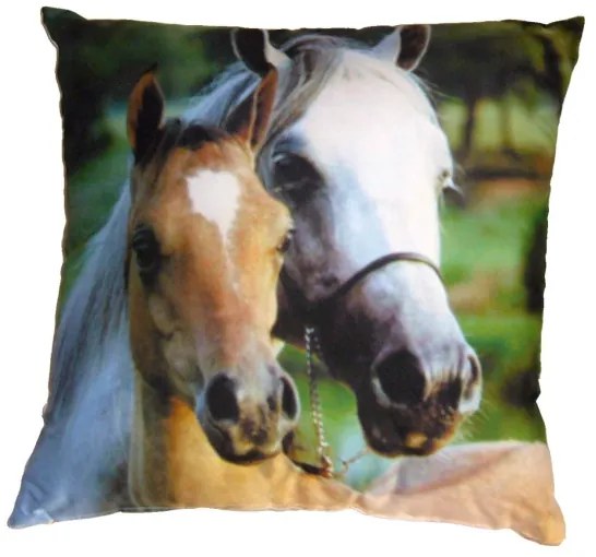 DADKA Fotopolštářek Koně 40x40 cm