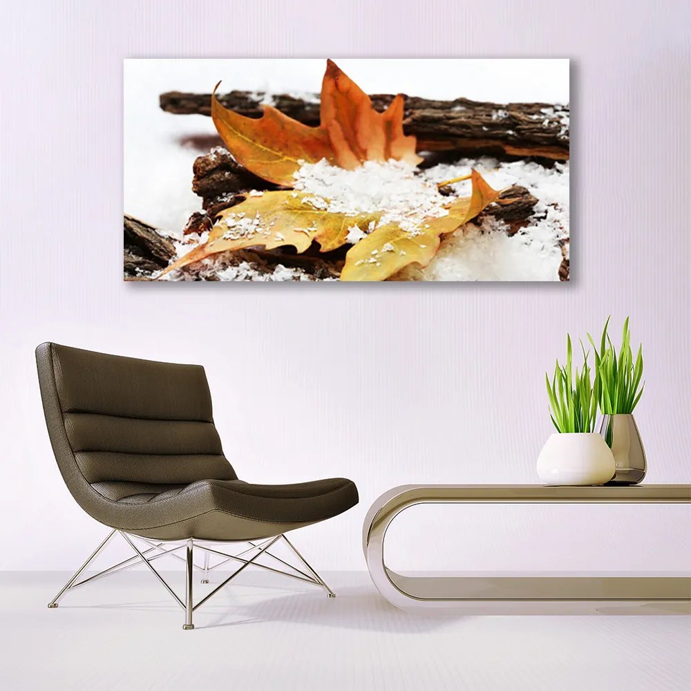 Plexisklo-obraz List Les Podzim Příroda 120x60 cm