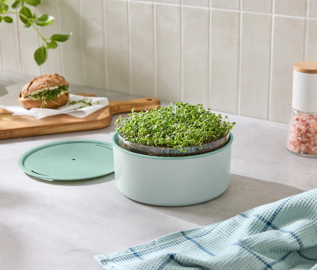Tchibo - Pěstební sada »Microgreens«
