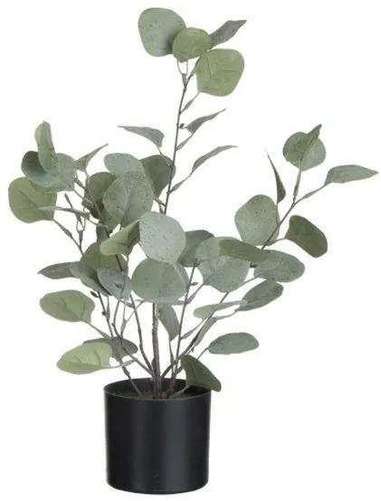 Dekorace Eucalyptus v květináči - Ø12*43cm