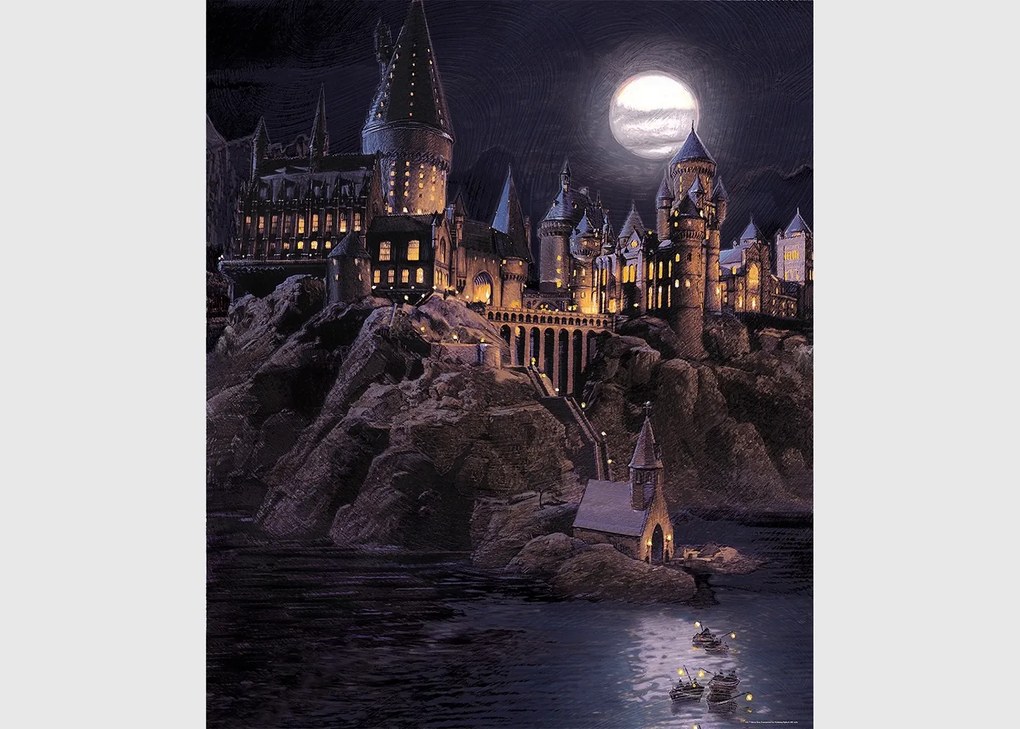 Dětská vliesová fototapeta na zed' Harry Potter | 225 x 270 cm | DFTD3P5177