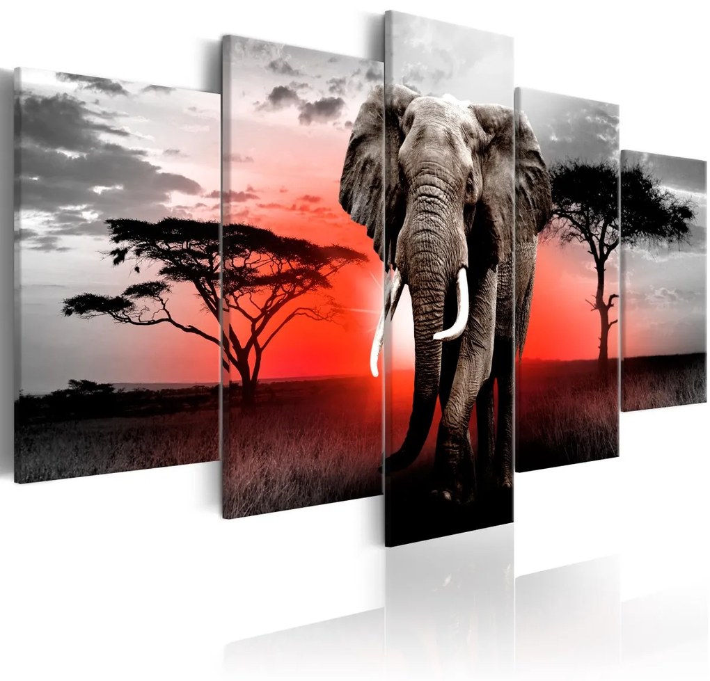 Murando DeLuxe Pětidílné obrazy - slon v Africe III Velikost: 180x90 cm