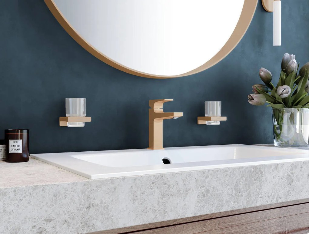 Hansgrohe AddStoris - Nádobka pro ústní hygienu, kartáčovaný bronz 41749140