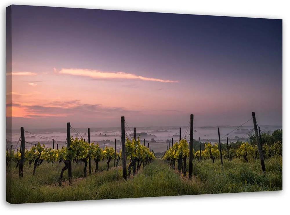Gario Obraz na plátně Pěstování hroznů Rozměry: 60 x 40 cm