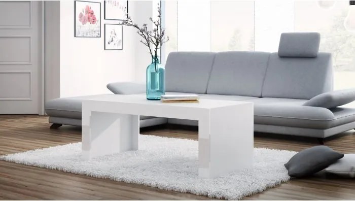 Konferenční stolek DEMO bílá/bílá lesk (120 x 60) cm
