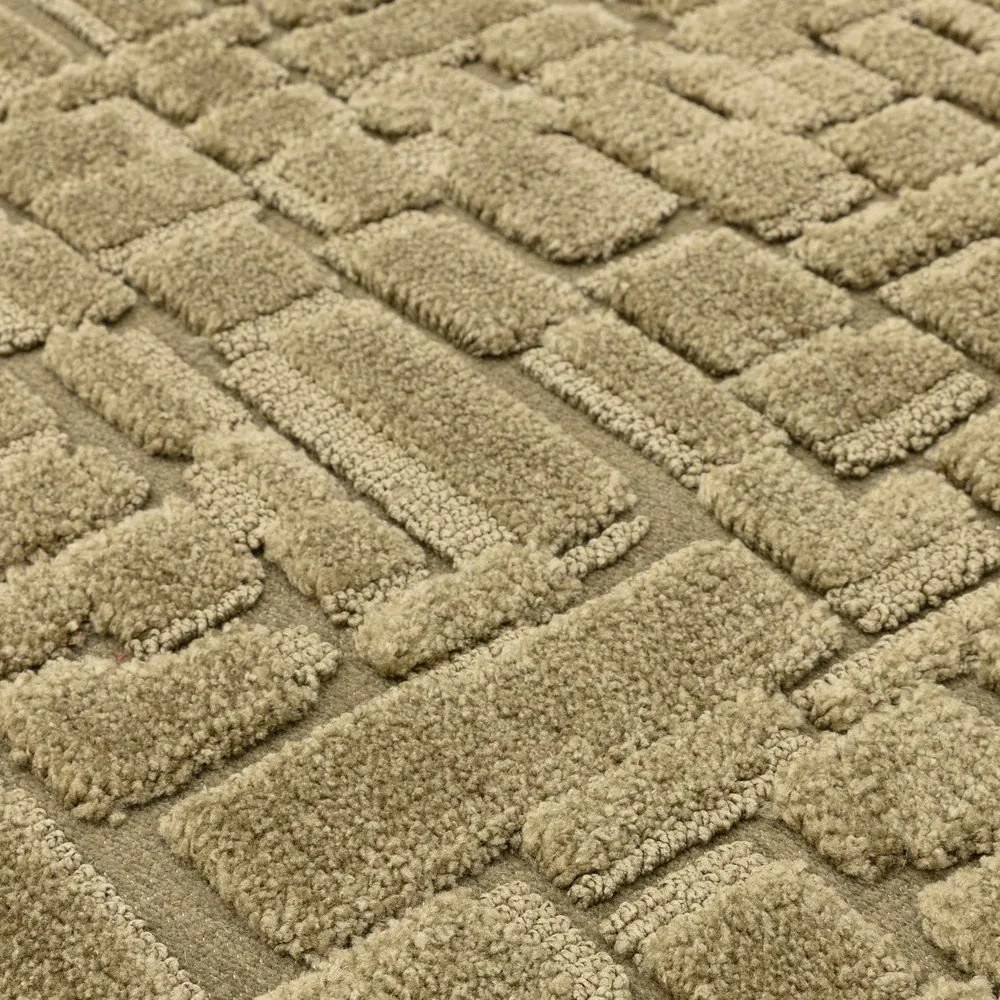 Zelený koberec 160x230 cm – Asiatic Carpets