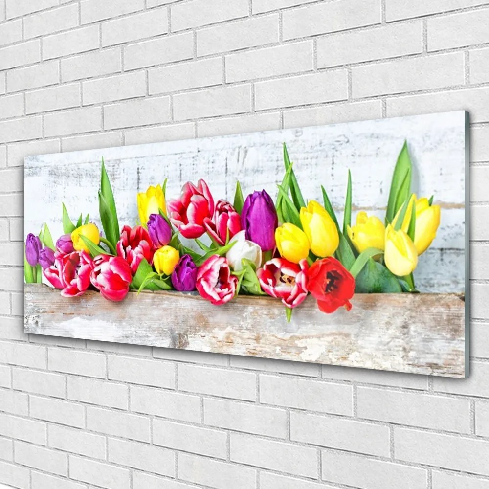 Plexisklo-obraz Tulipány Květiny Příroda 125x50 cm