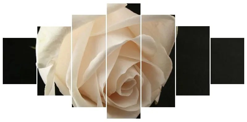 Obraz bílé růže (210x100 cm), 40 dalších rozměrů