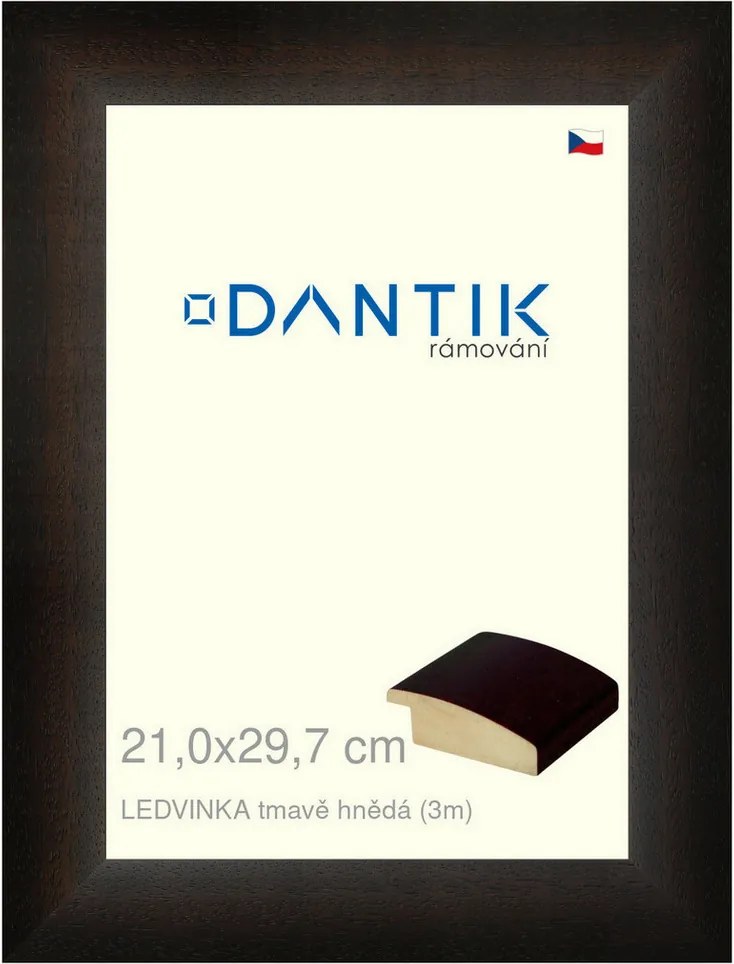 DANTIK rámeček 21x29,7 | LEDVINKA tmavě hnědá (Sklo Čiré)