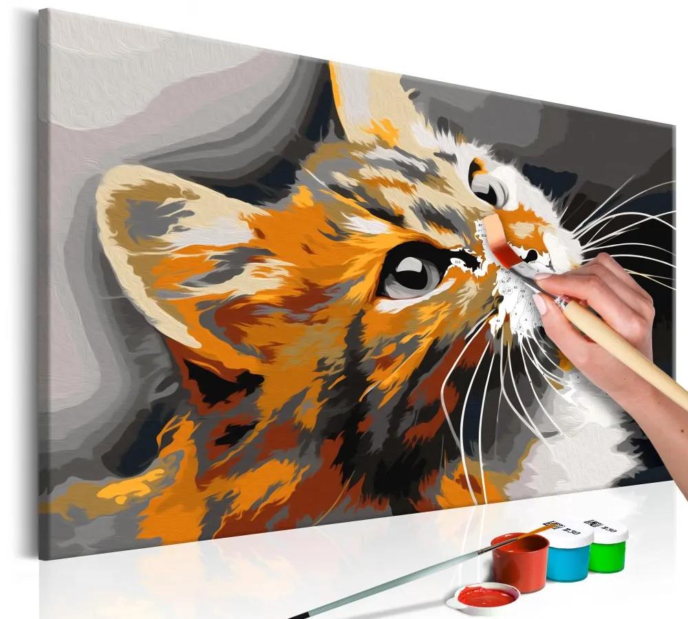 Bimago Malování podle čísel - Red Cat | 60x40 cm