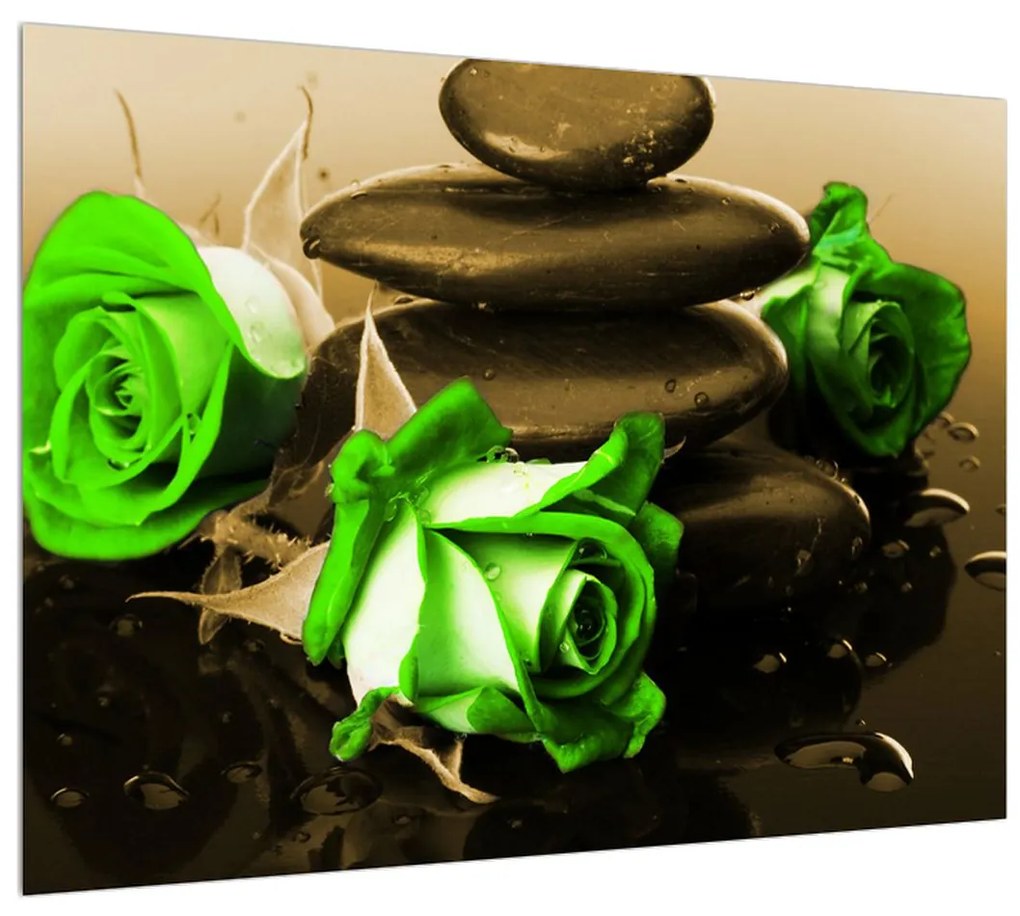 Obraz zelených růží (70x50 cm)