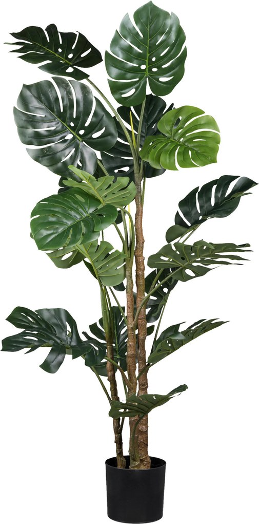 XXXLutz UMĚLÁ ROSTLINA filodendron monstera 160 cm - Umělé rostliny - 004297306501